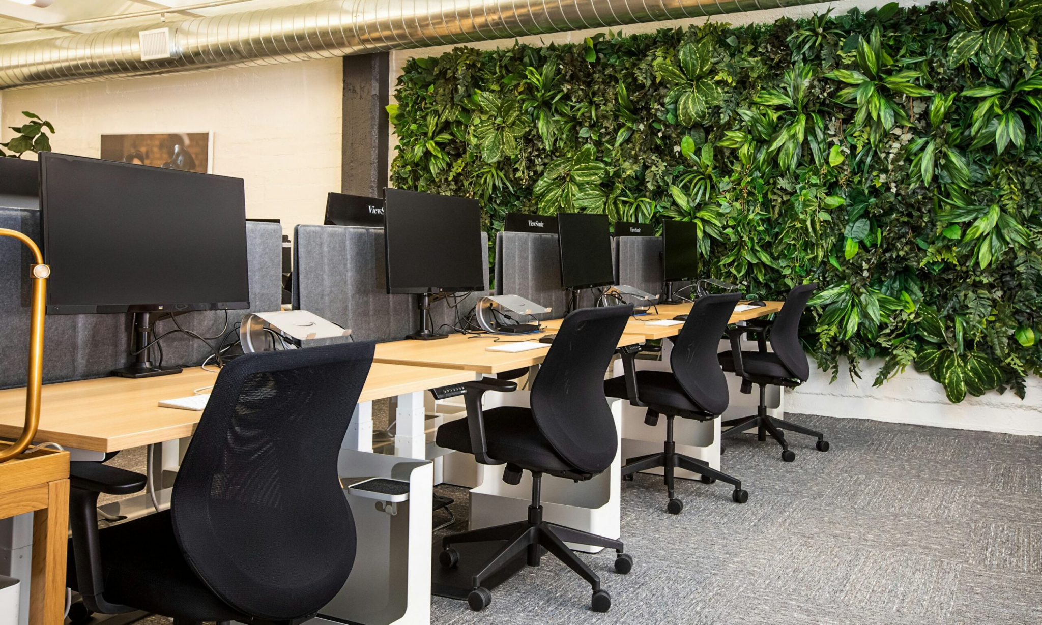 Plants in the Office | News & Blogs | OFR